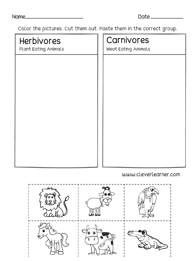 Herbivores Carnivores Omnivores 06 Preschool Activity | PDF