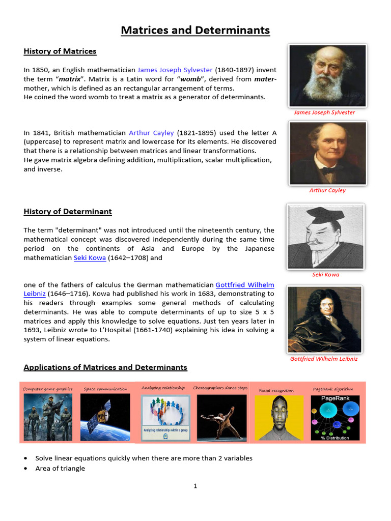 History of Matrices and Determinants | PDF | Matrix (Mathematics ...