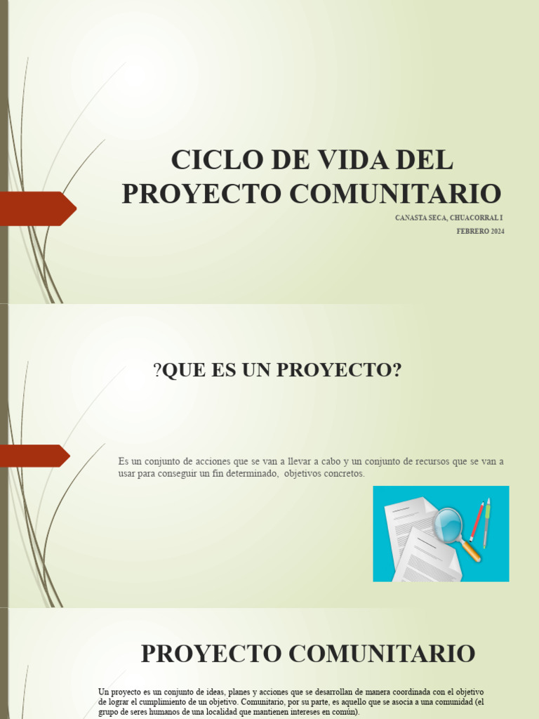 Ciclo de Vida Del Proyecto Comunitario | PDF