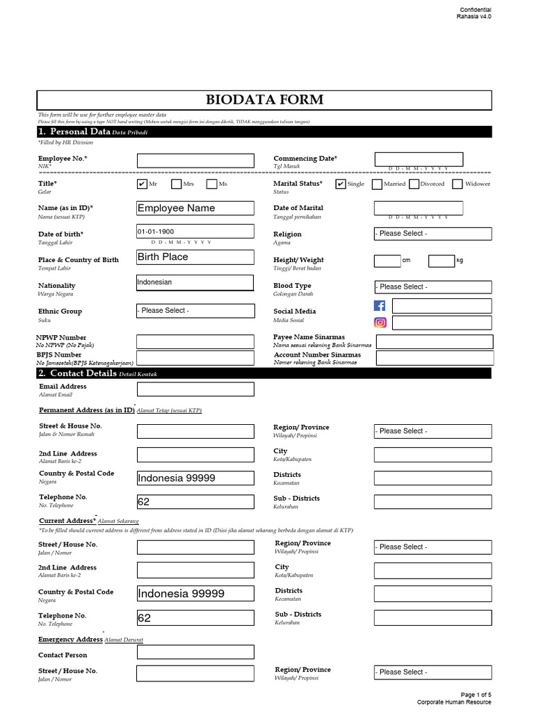 Biodata Form PDF - SMF V4.0 | PDF | Business