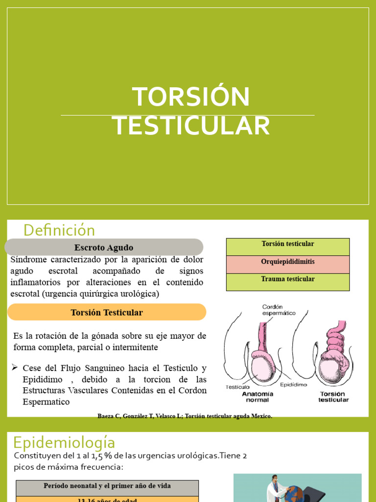 Seminario Torcion Testicular | PDF | Testículo | Medicina CLINICA