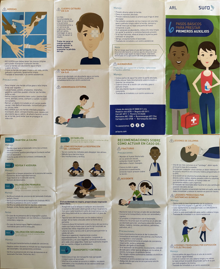 6 Pasos Básicos Para Prestar Primeros Auxilios | PDF