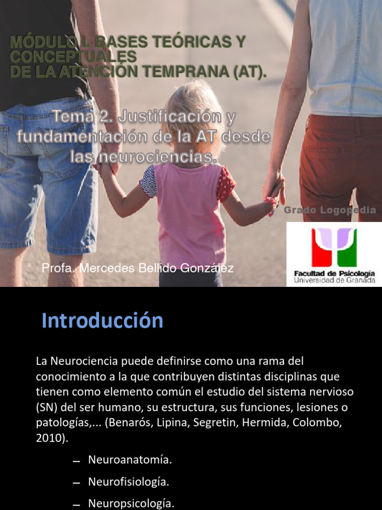 Presentacion Tema2 Il at 2020 21 | PDF | Neuroplasticidad | Cerebro