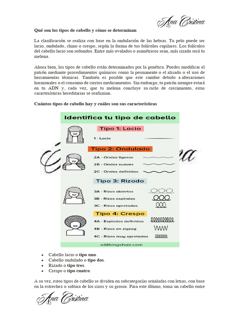 Tipos de Cabello | PDF