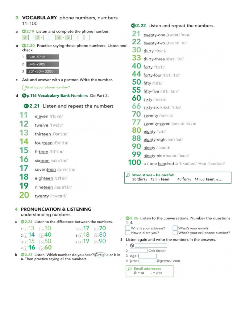 Numbers 11-100 | PDF