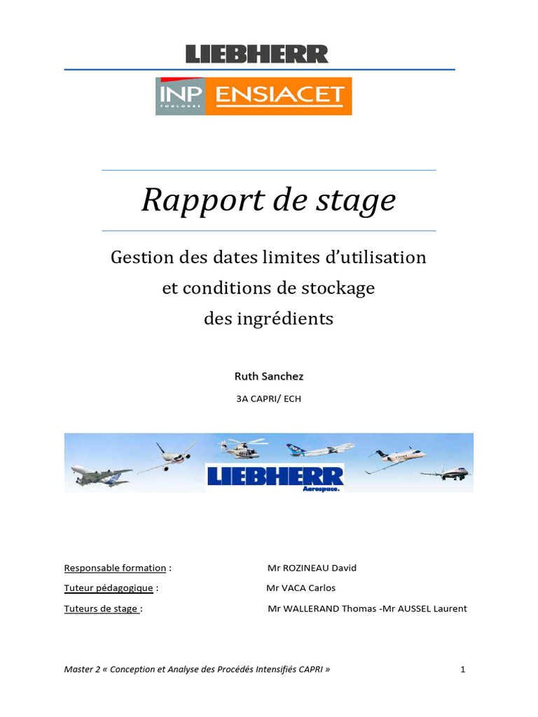 Taz TFG 2020 3821 | PDF