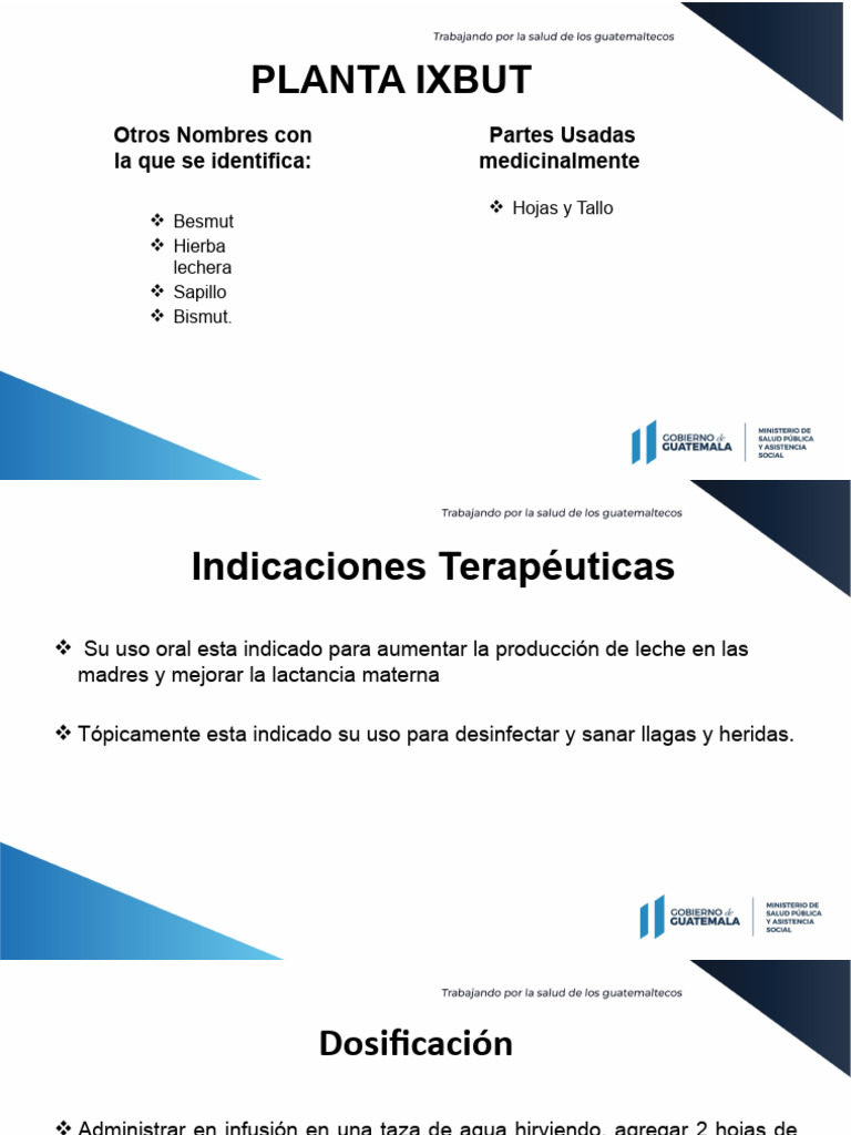 PLANTA IXBUT 2024 (1) | PDF