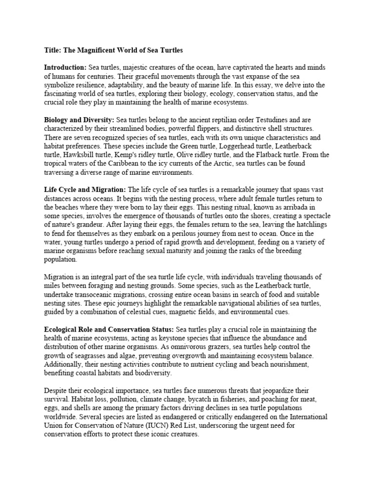 The Magnificent World of Sea Turtles | PDF | Sea Turtle | Conservation Biology