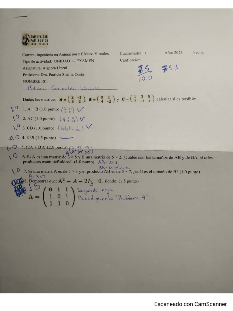 Examenes Álgebra | PDF