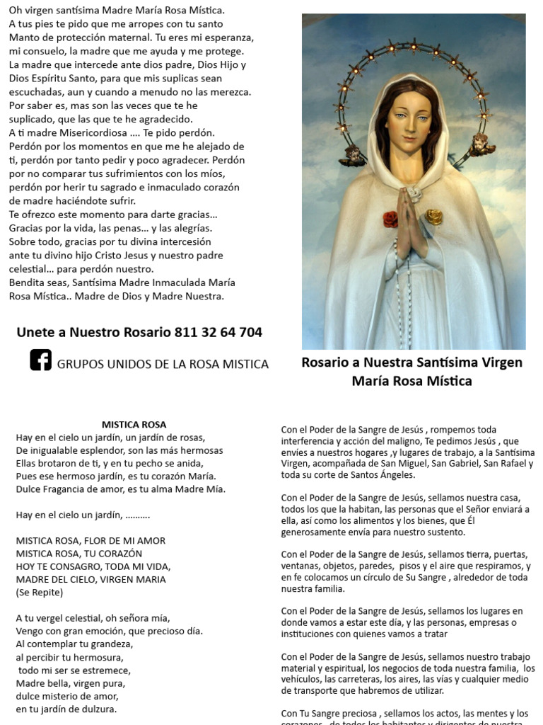 Rosario Rosa Mistica 2022 | Descargar gratis PDF | María, madre de ...