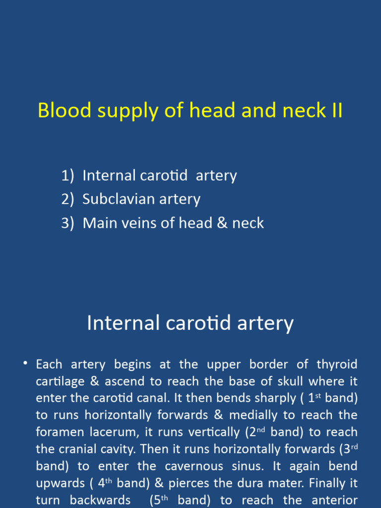 Head and Neck Blood Supply Overview | PDF