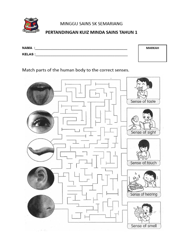 Kuiz Tahun 1 | PDF