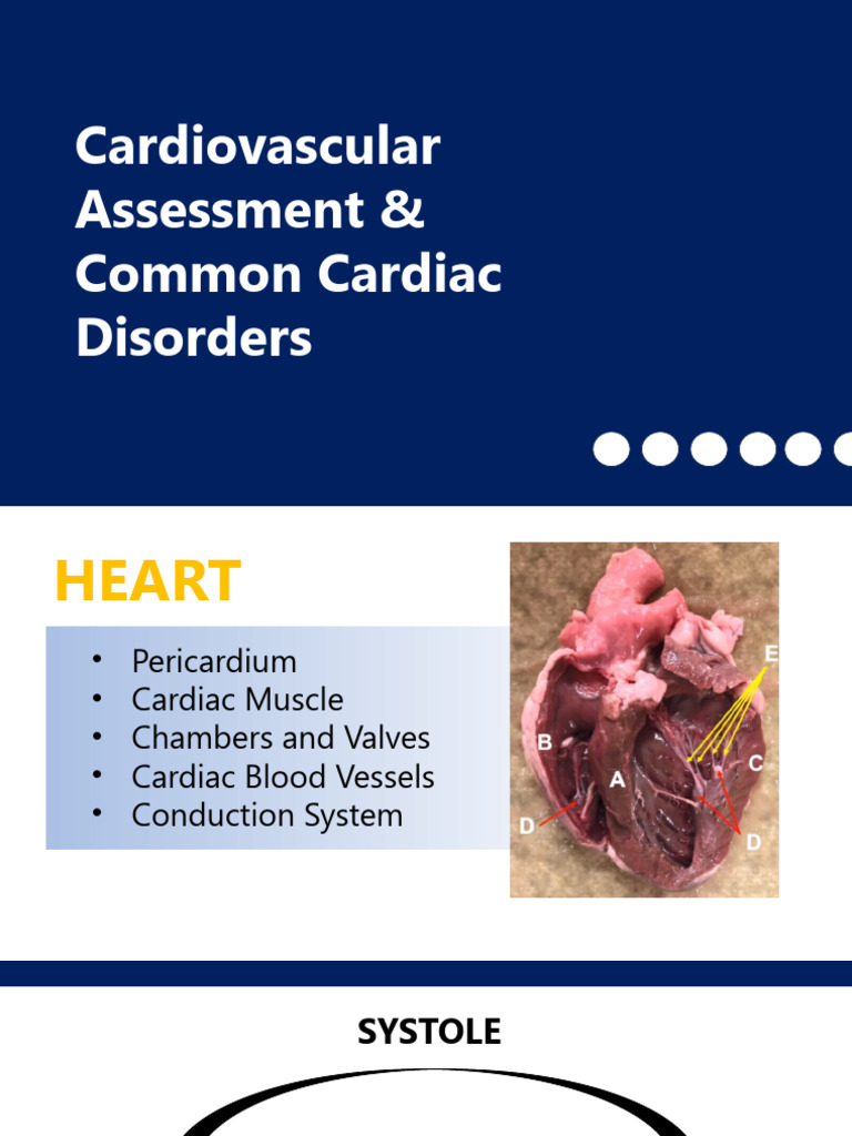 Cardiovascular Assessment & Cardiac Disorders | PDF | Heart ...