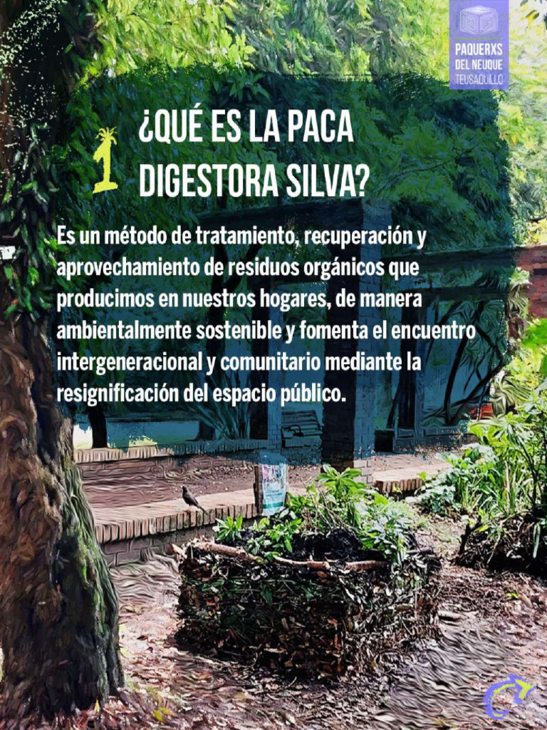 Infografías Paca Digestora Neuque | PDF