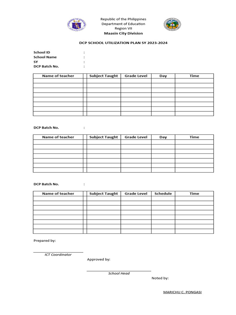 DCP Utilization Plan Template | PDF
