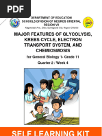 Cell City Worksheet Answer Key | PDF | Cell (Biology) | Cytoplasm