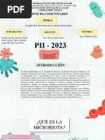 SNC Yuen | PDF | Sistema nervioso | Cerebro