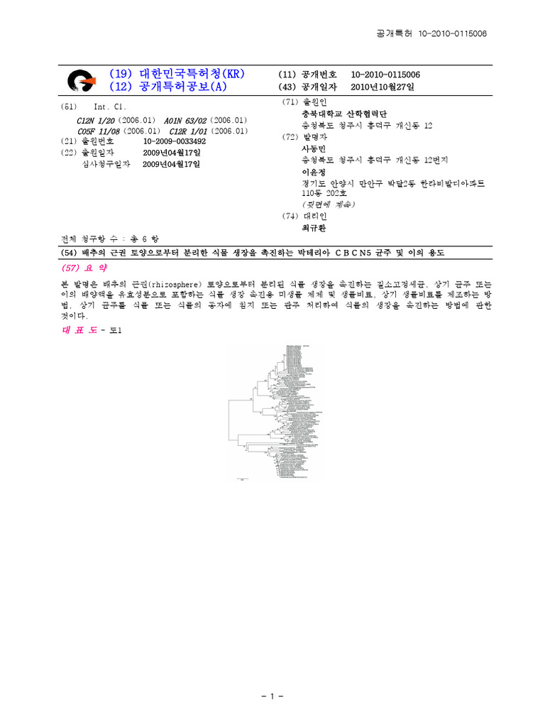 KR20100115006A | PDF