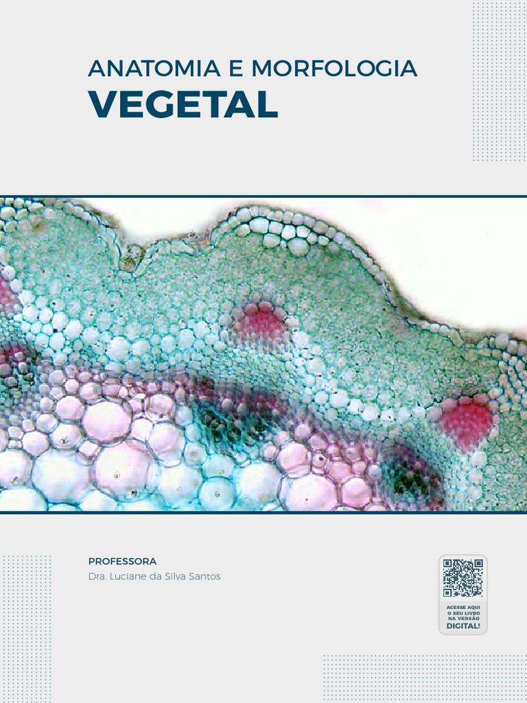 Anatomia e Morfologia Vegetal | PDF | Parede celular | Célula (Biologia)