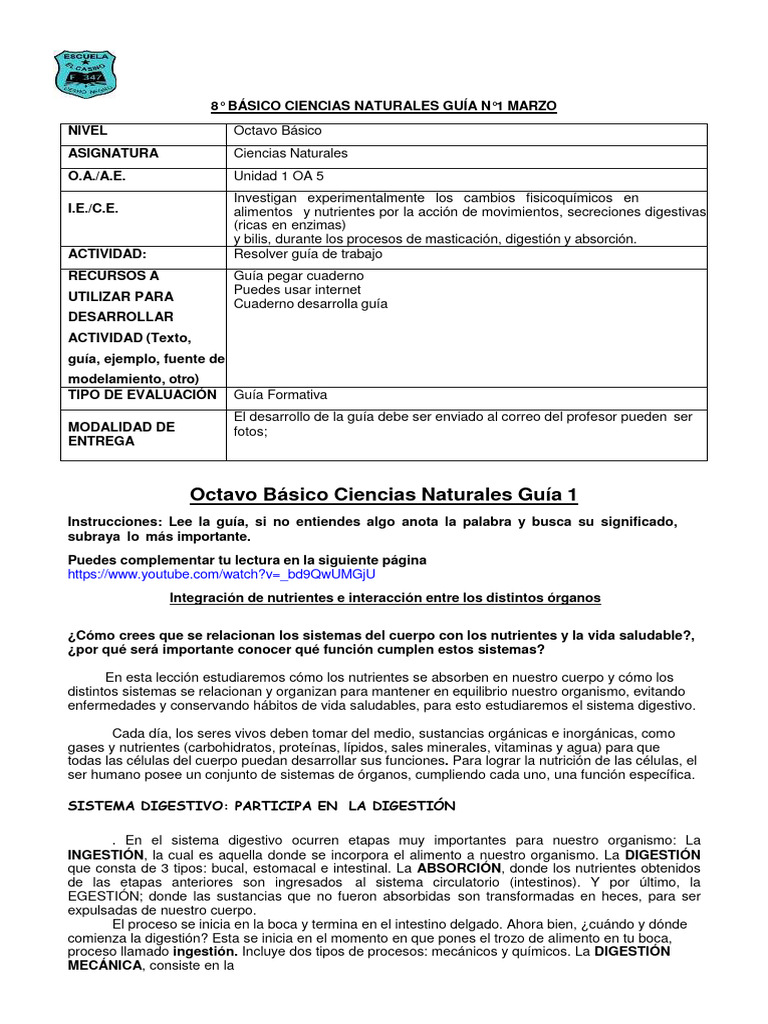 Guía de Ciencias Naturales 8° Básico | PDF | Salud y bienestar ...