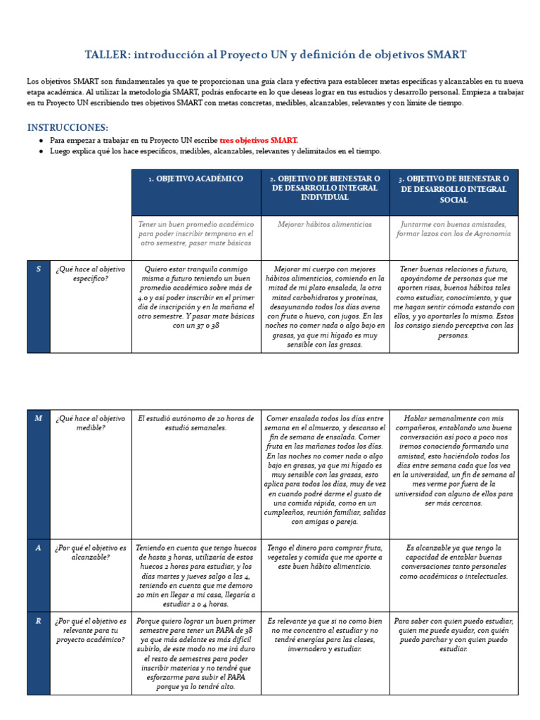 1. Taller_Introducción al Proyecto UN y objetivos SMART (1) | PDF