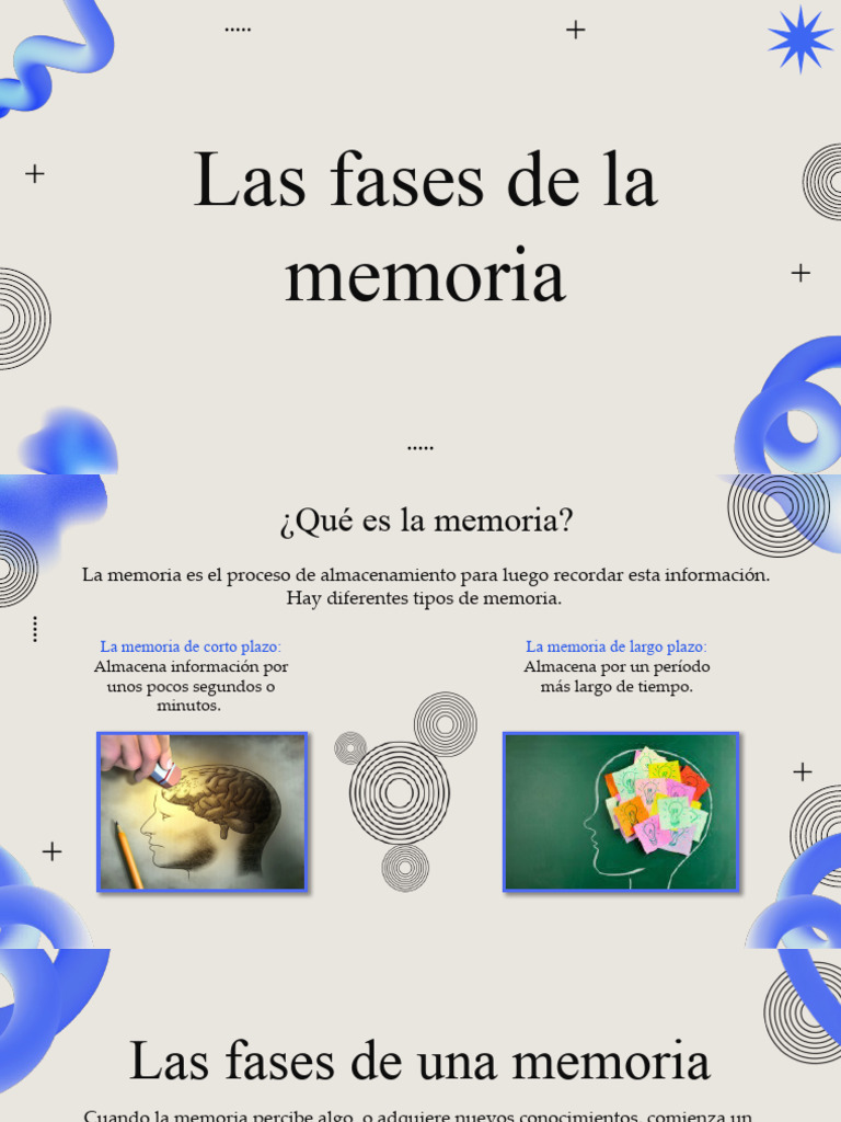 las fases de la memoria | PDF