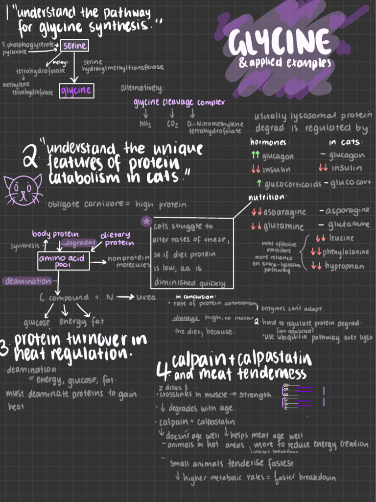 Glycine Synthesis Pathway Overview | PDF | Metabolic Pathway | Proteins