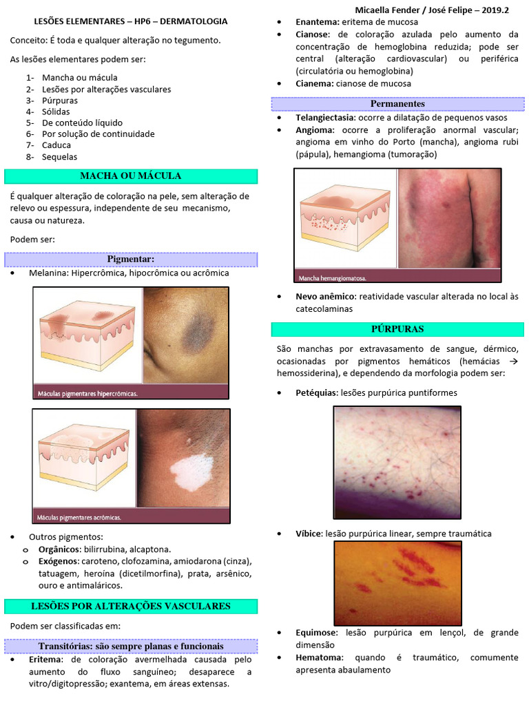Classificação de Lesões Elementares da Pele | PDF | Dermatite | Pele