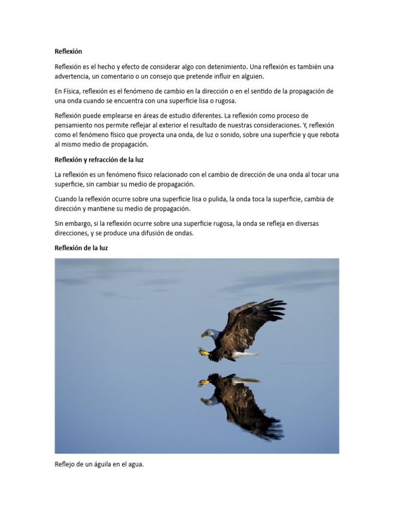 Reflexión 2 | PDF | Reflexión (Física) | Ligero
