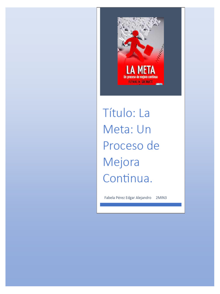 La Meta | PDF | Cadena de valor | Business