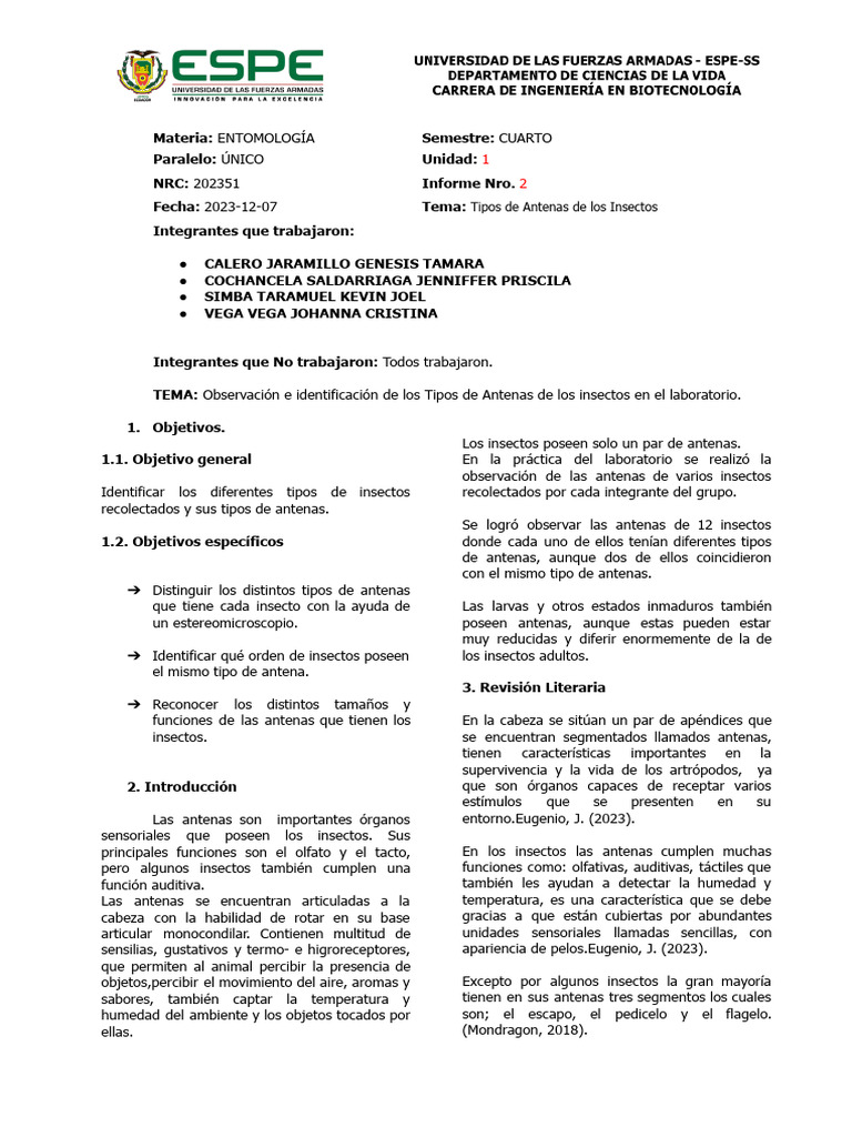 Tipos de Antenas de Insectos | PDF | Estudios de idiomas extranjeros ...