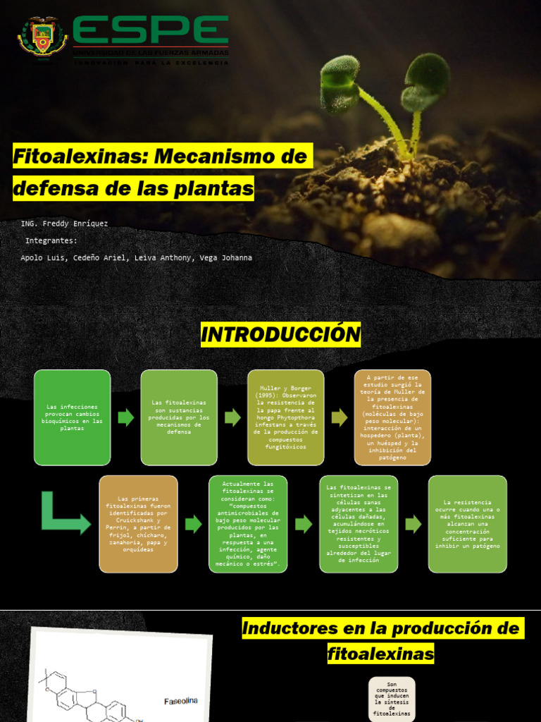 Fitoalexinas: Defensa en Plantas | PDF | Enzima | Inhibidor de la enzima
