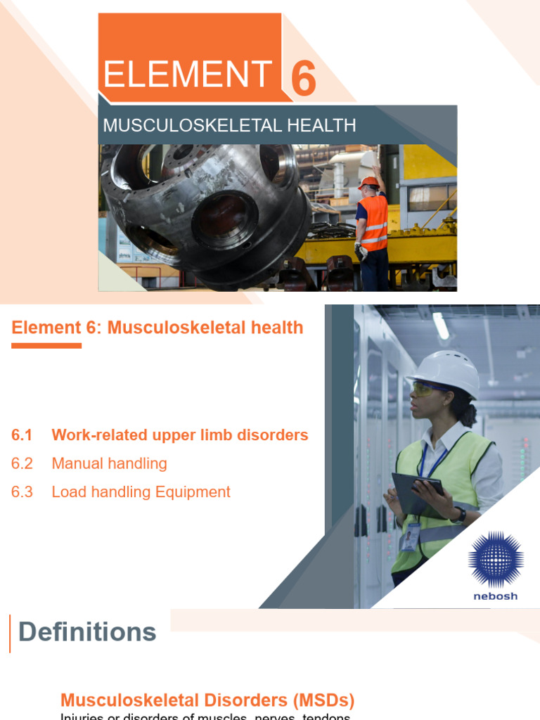 Igc E6 Sample Slides v1.2 | PDF | Skeletal System | Musculoskeletal System