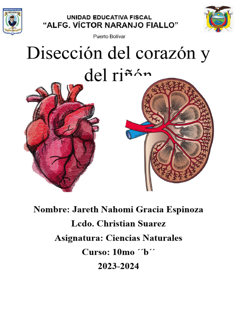 informe ccnn | PDF | Aprendizaje | Fisiología