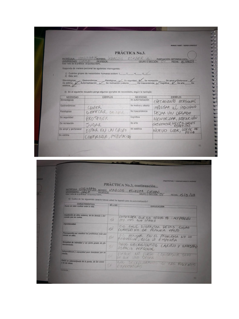 Practica 3 arquitectura y comportamiento humano | PDF