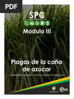Mosca Pinta-1 | PDF | Control biológico de plagas | Plaga (organismo)