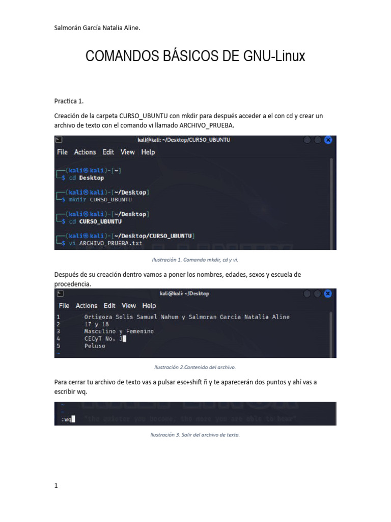 Comandos Básicos de GNU-Linux | PDF | Informática | Software
