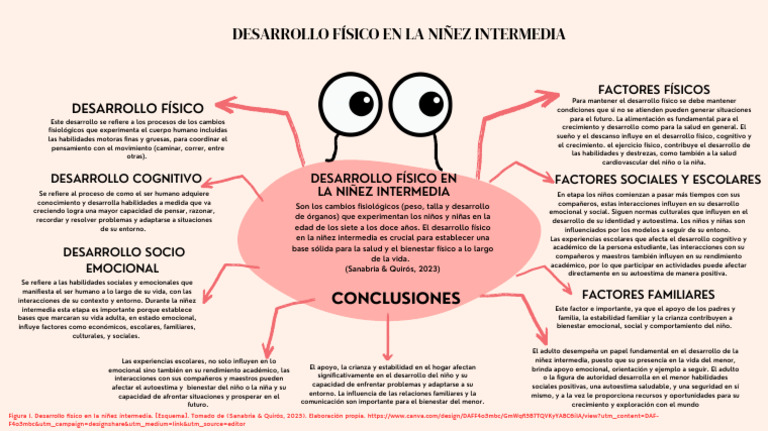 Esquema Desarrollo Físico de La Niñez Intermedia | PDF | Adultos | Las ...