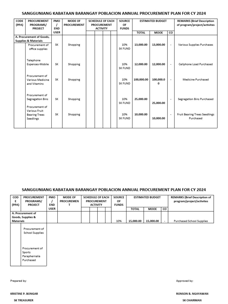 Procurement Plan | PDF