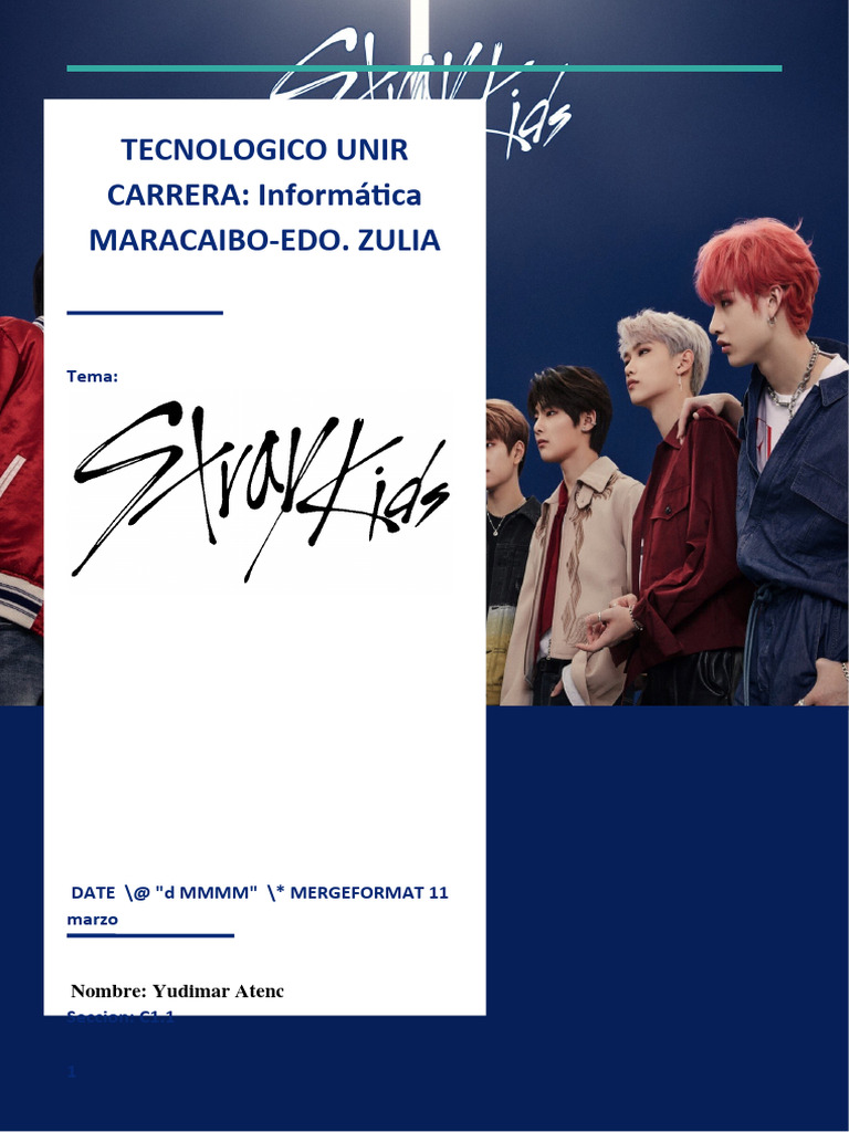 Informe Sobre Stray Kids | PDF