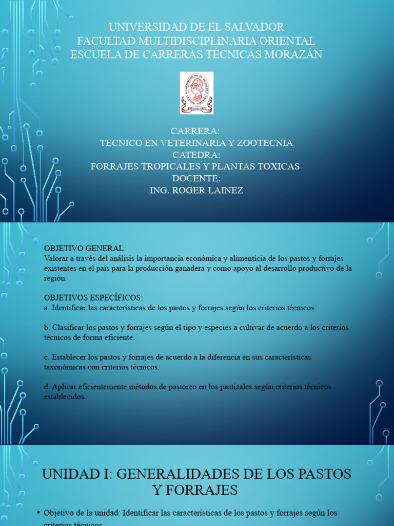 Forrajes Tropicales 1 | PDF | Pasto | Carbohidratos