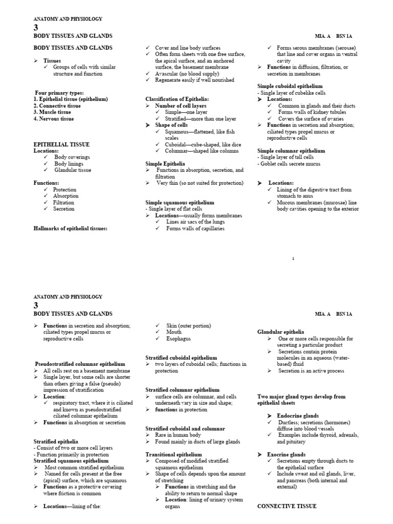 Anaphy Mia Rev3 | PDF | Epithelium | Connective Tissue