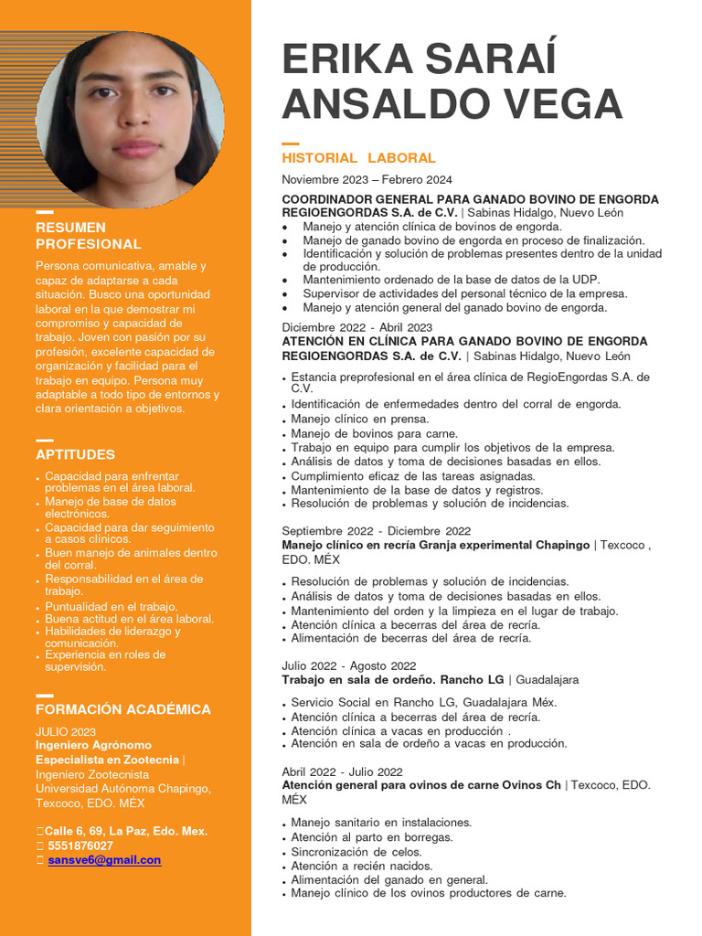 CV. Ansaldo Vega Erika Saraí. | PDF