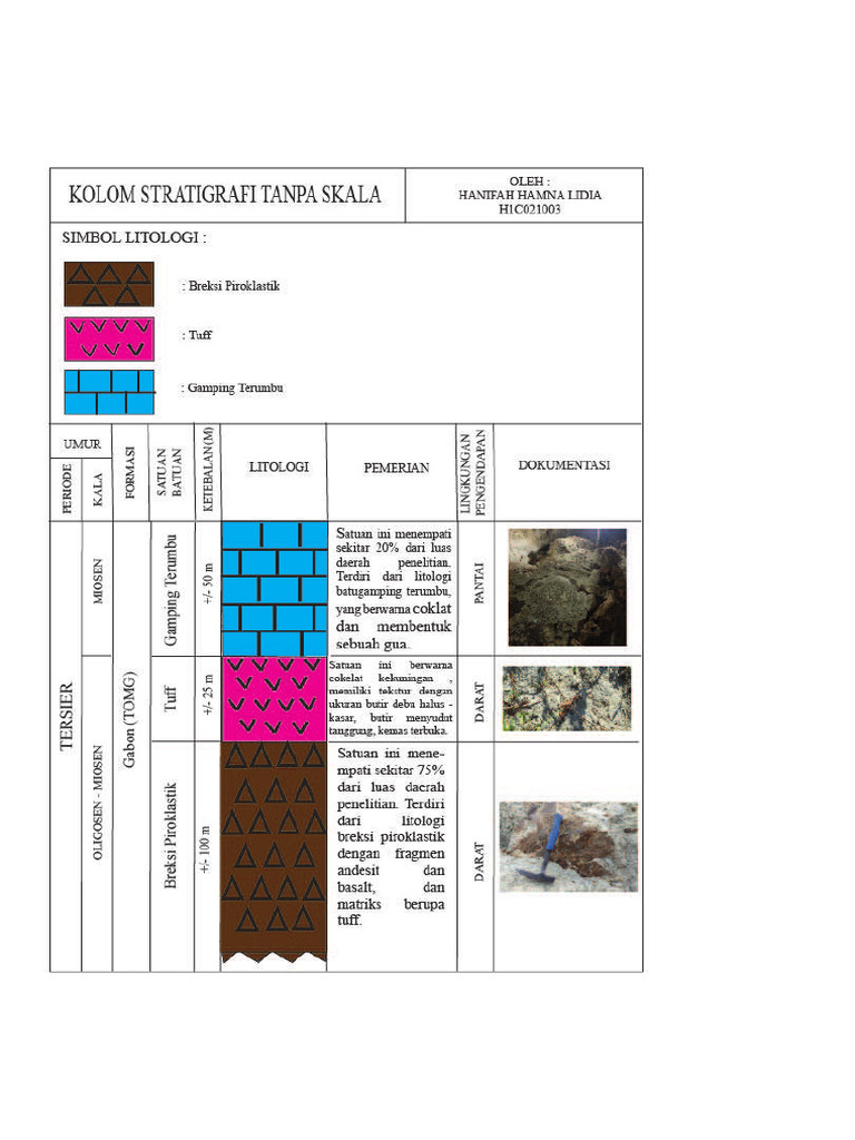 Kolom Stratigrafi | PDF