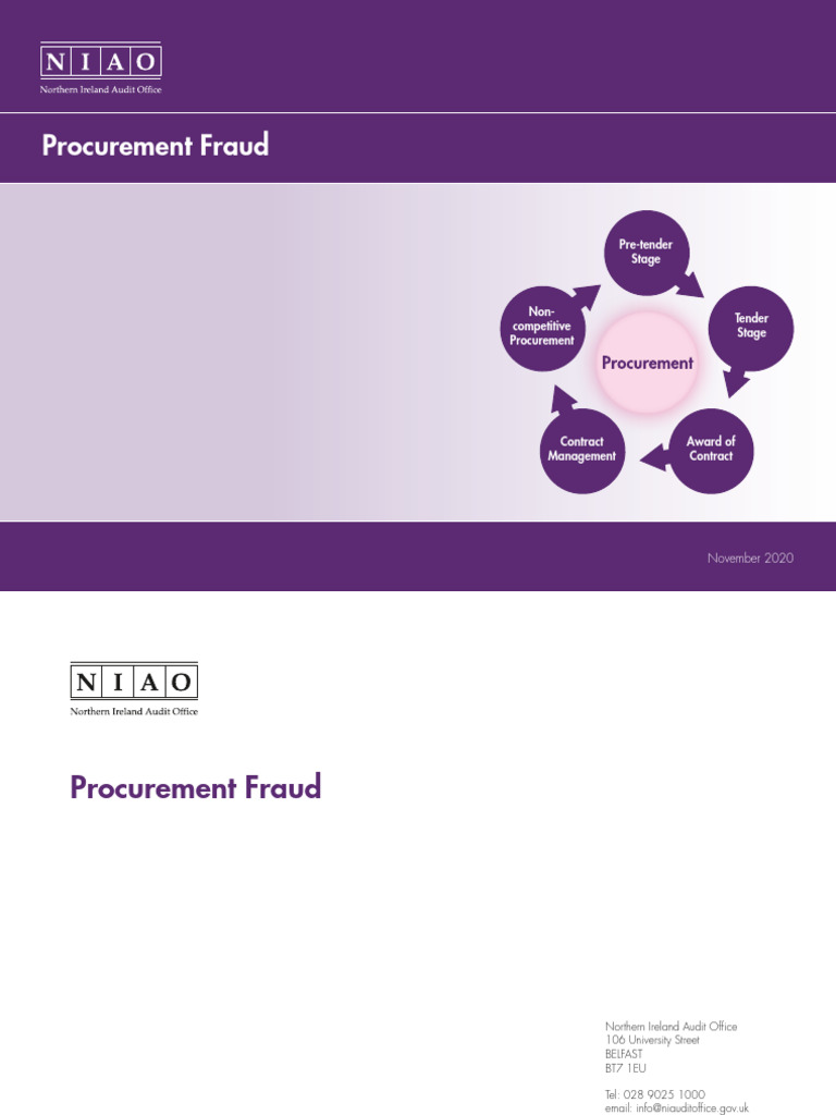 NIAO Procurement Fraud Risk Guide | PDF