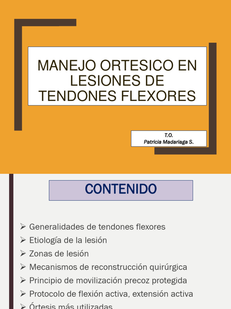 Manejo ortésico en lesiones de tendones | PDF | Tendón | Sistema ...