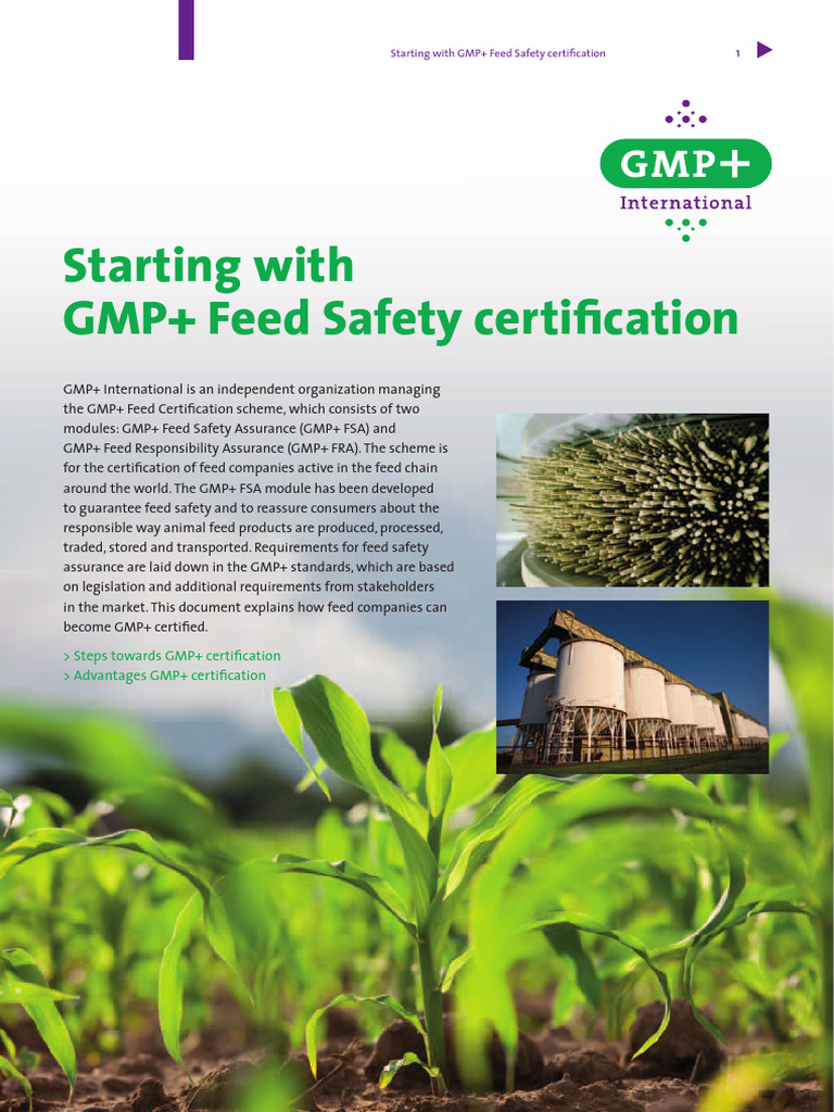 Starting With GMP | PDF | Audit | Iso 9000