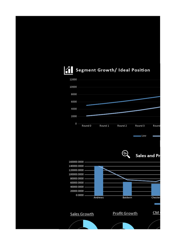 Capsim Summary Report | PDF | Microsoft Excel | Profit (Economics)
