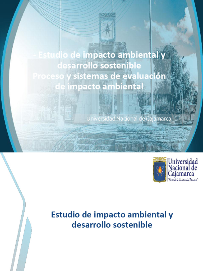 Estudio de Impacto Ambiental y Desarrollo Sostenible-Proceso y Sistemas de EIA | PDF ...