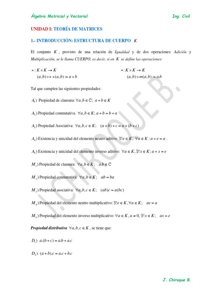 Teoría de Matrices 2023 - Ii | PDF | Matriz (Matemáticas) | Linealidad